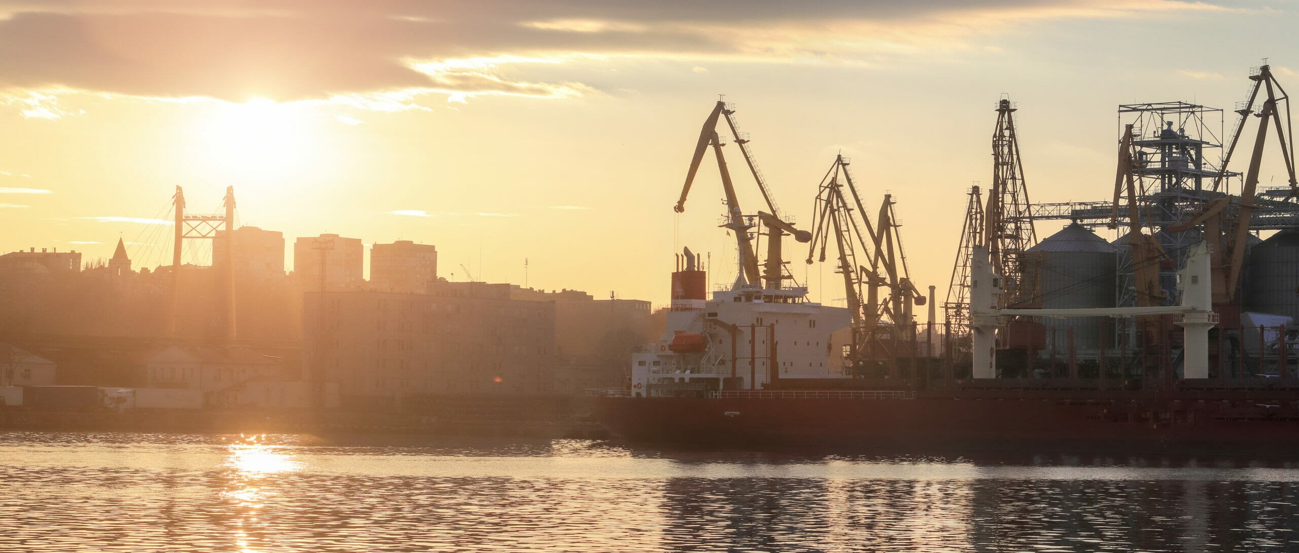 Export Shipments Report November 17 - Martinson Ag Risk Management