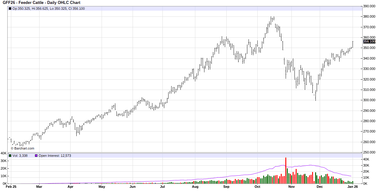 Cattle Weekly Comments January 2 - Martinson Ag Risk Management